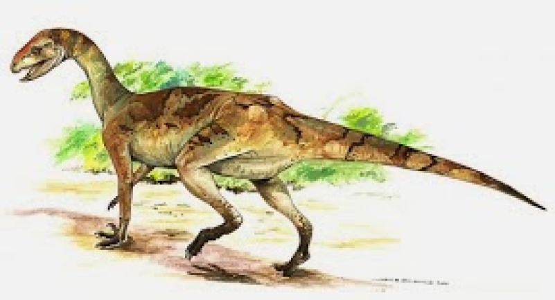 Berço Nacional dos Dinossauros - Prefeitura Municipal de Agudo