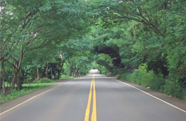 Município de Vale Verde