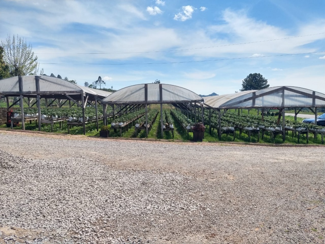 Casa do Morango | O Que Fazer | Turismo Rural - Secretaria de Turismo ...